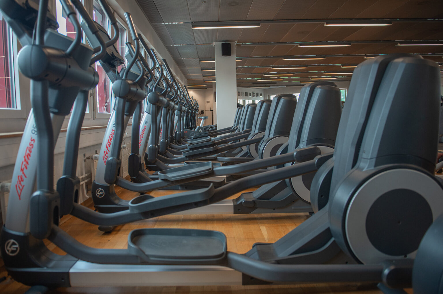 Dynamic Fitness - Dynamic Fitness